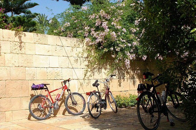 Private bike tour San Juan beach, Alicante - Who Would Love This Tour