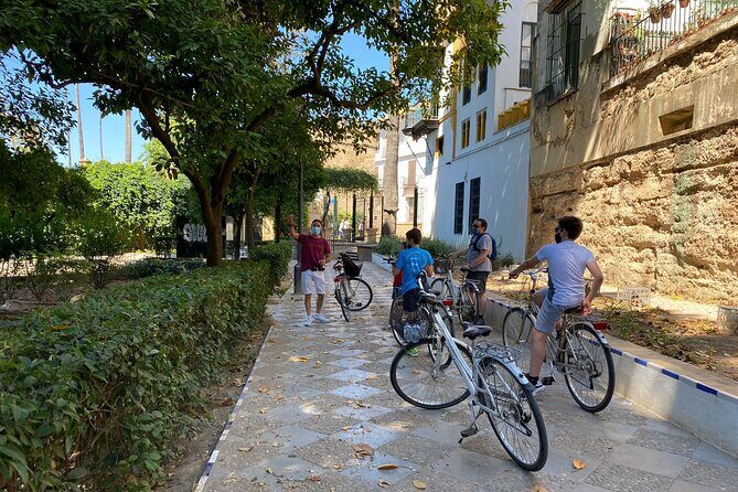 Private Bike Tour Seville - Practical Details and Tips