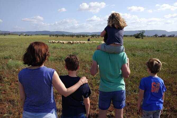 Private Bike Tour with Olive Oil Tasting - Authentic Experiences and Hidden Gems