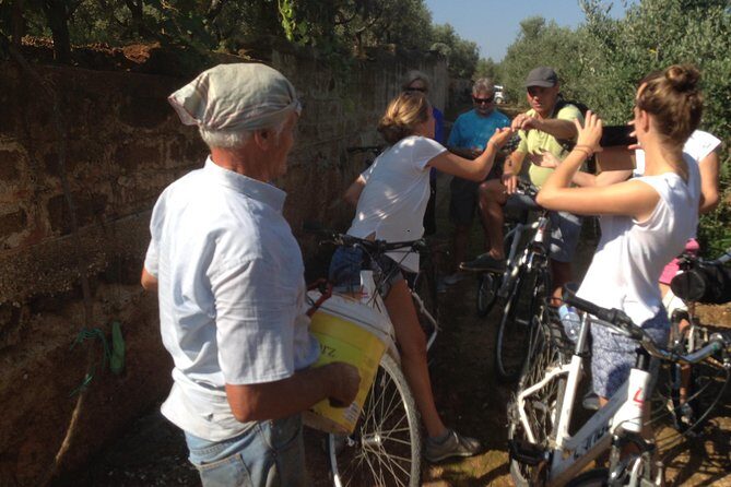Private Bike Tour with Olive Oil Tasting - Who Is This Tour Best For?
