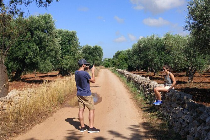 Private Bike Tour with Olive Oil Tasting - The Sum Up