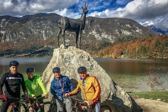 Private Biking Tour in Bohinj Valley - What the Reviews Tell Us