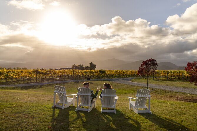 Private Biking Wine Tour (full day) in the Marlborough Region - Who This Tour Is Best For
