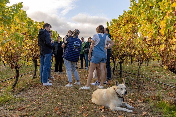 Private Biking Wine Tour (full day) in the Marlborough Region - Final Thoughts