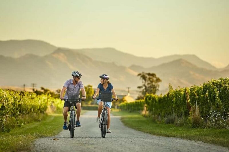 Private Biking Wine Tour (Full Day) Marlborough Region - Key Points