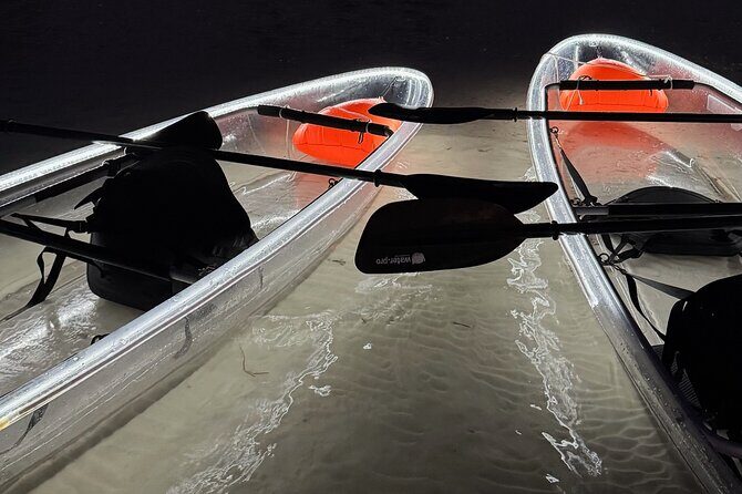 Private Bioluminescence Tour by clear Kayak in Holbox - The Experience Step-by-Step