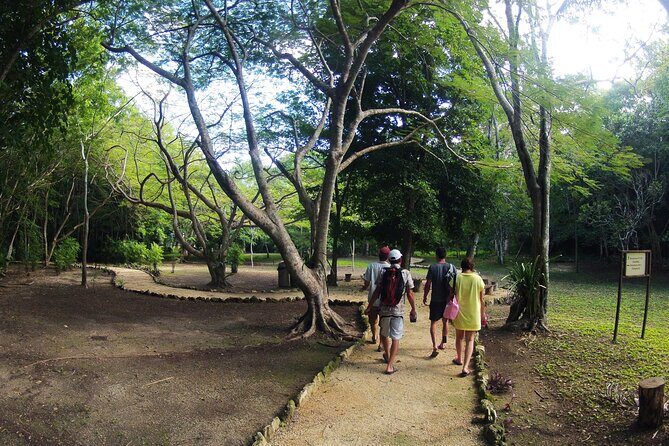 Private Birdwatching Tour in Sian Ka'an Muyil - An In-Depth Look at the Experience