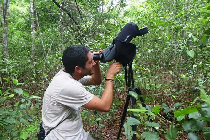 Private Birdwatching Tour in Sian Ka'an Muyil - FAQ