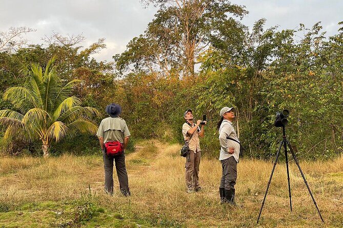Private Birdwatching Tour with a Guide in Cozumel - Authentic Experiences and Hidden Gems
