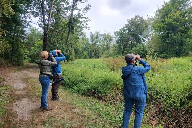 Private Birdwatching Walking Activity in Hendersonville - Exploring Hendersonville’s Birdwatching Tour