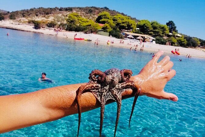 Private Blue Cave Tour from Split, Bra, Trogir and Hvar - The Practical Side: What to Expect