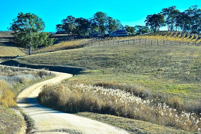 Private Blue Mountains and Winery Day-Trip from Sydney - What’s the Value?