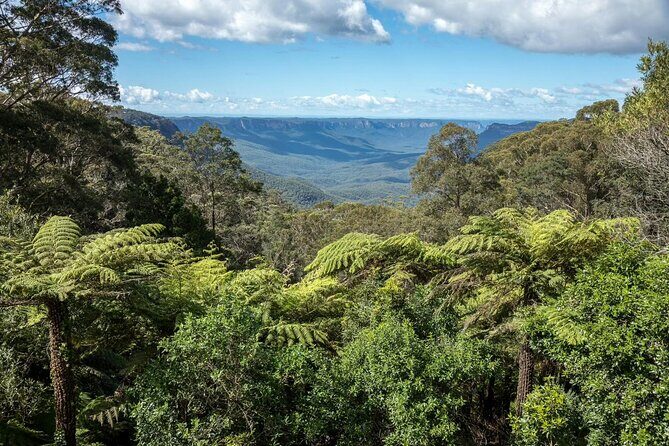 Private Blue Mountains Day Tour (avoid the crowds) - Who Should Consider This Tour?