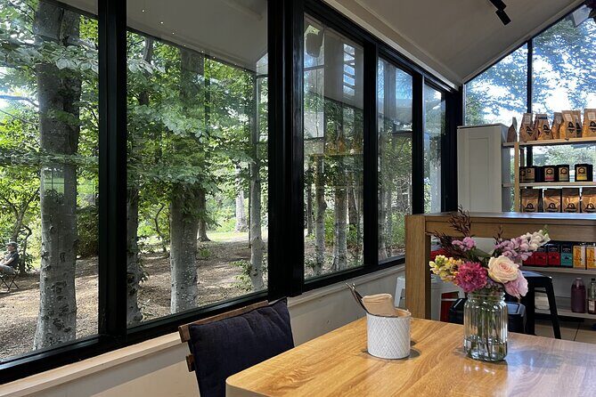 Private Blue Mountains Day Tour (avoid the crowds) - The Sum Up: Is This Tour Right for You?