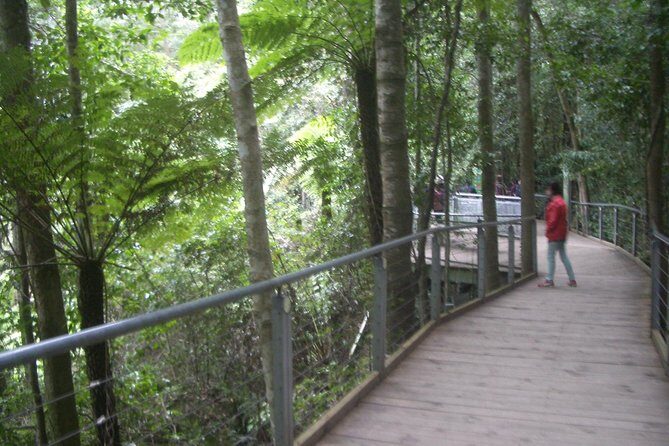 PRIVATE Blue Mountains day tour with local guide. - What We Loved About This Tour