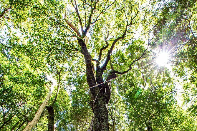 Private Blue Mountains Escape The Crowds Mercedes Tour - FAQ