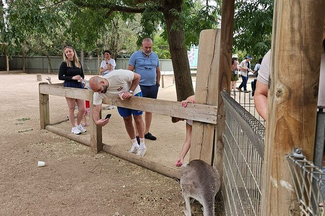 PRIVATE Blue Mountains Scenic World Australian Wildlife & Cruise - Detailed Review of the Itinerary and Experience