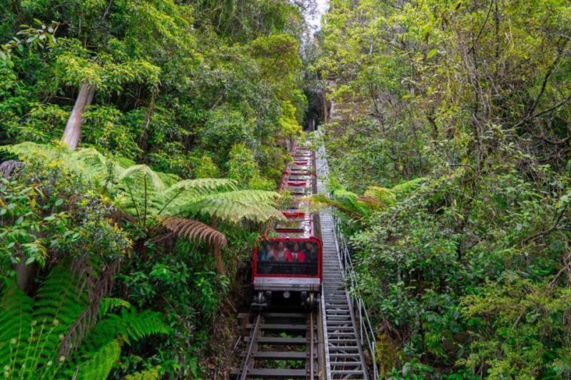 Private Blue Mountains, Scenic World & Wentworth Falls Tour - FAQ