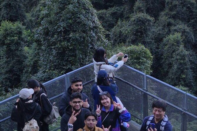 Private Blue Mountains Tour Scenic Views Wildlife and Adventure - Who Will Love This Tour?