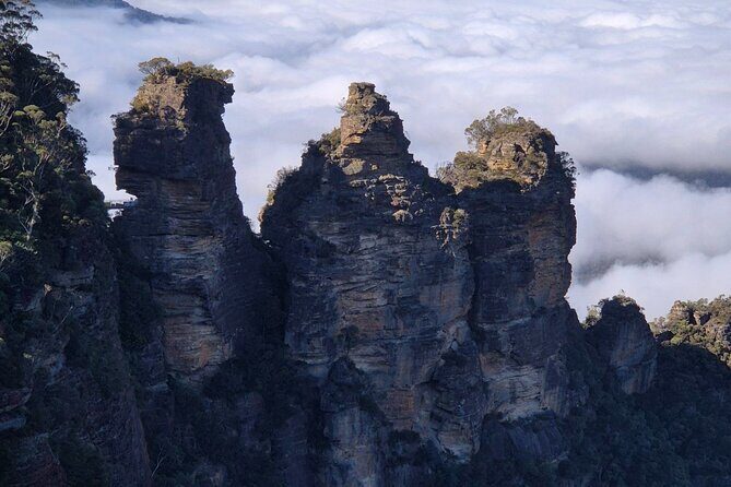 Private Blue Mountains Tour Scenic Views Wildlife and Adventure - The Sum Up: Is This Tour for You?