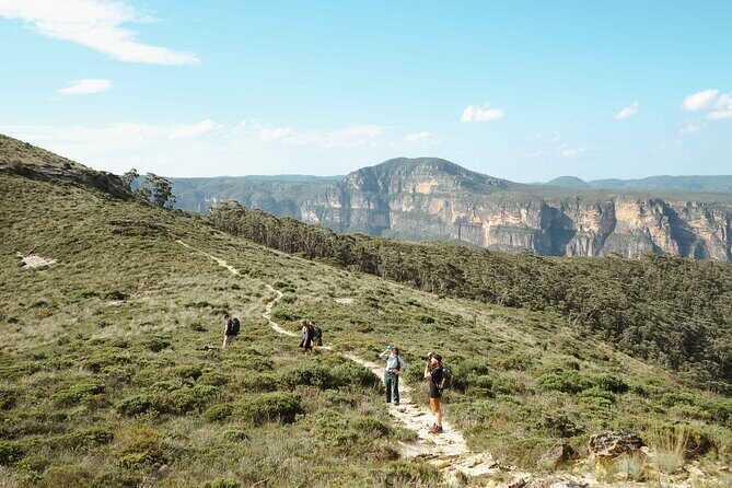 Private Blue Mountains Tour | Waterfalls, Koalas & Views - Who Should Consider This Tour?