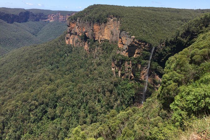 PRIVATE Blue Mountains Tour with Expert Guide - What to Expect from the Private Blue Mountains Tour
