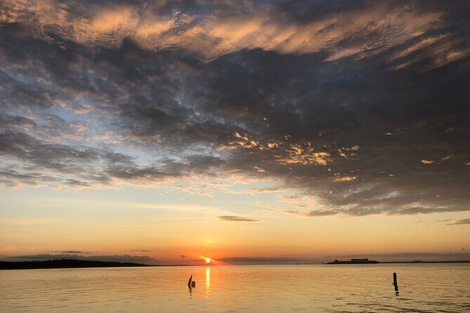 Private Boat and Dolphin Watching in Florida - The Experience in Detail
