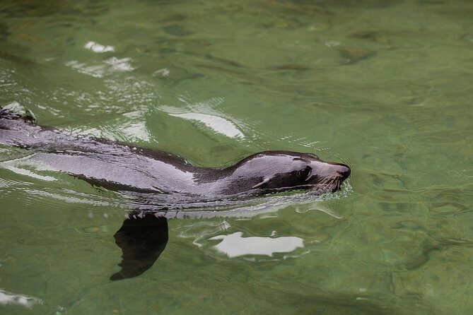 Private boat charter in Abel Tasman National Park - The Itinerary: A Day Amongst Nature’s Finest