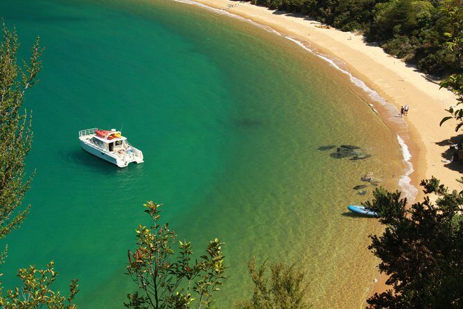 Private boat charter in Abel Tasman National Park - Practical Considerations: Is It Worth It?