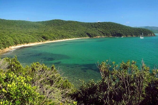 Private Boat Excursion with Lunch or Aperitif to the Calette di Scarlino - Who Is This Tour Best For?