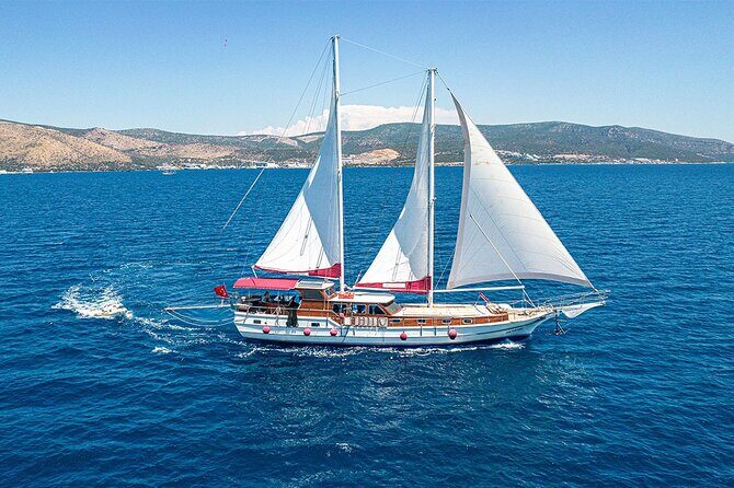 Private Boat Experience in Bodrum Coast with Snorkeling and Coves - The Value of a Private Tour
