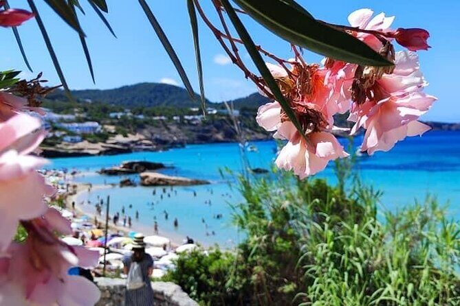 Private Boat Experience in Ibiza - Meeting Points and Accessibility