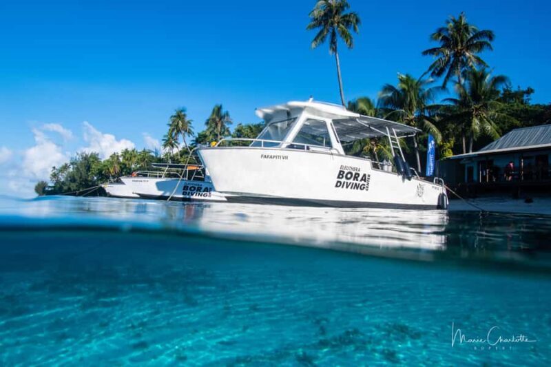 Private Boat for your Romantic Dive in Bora Bora - An Honest Look at the Romantic Dive Experience