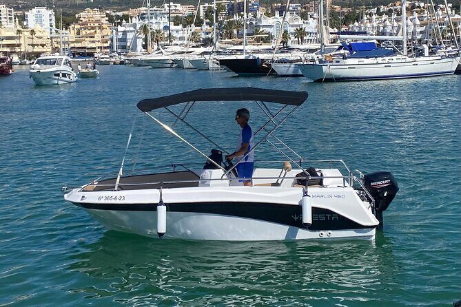 Private boat rental without title dolphin watching - What to Expect on the Private Boat Rental in Malaga