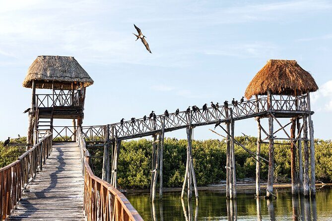 Private Boat to visit Holbox surroundings (3-Island Tour) - Who Will Love This Tour?