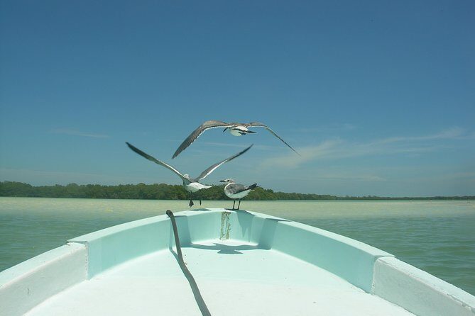Private Boat to visit Holbox surroundings (3-Island Tour) - The Sum Up