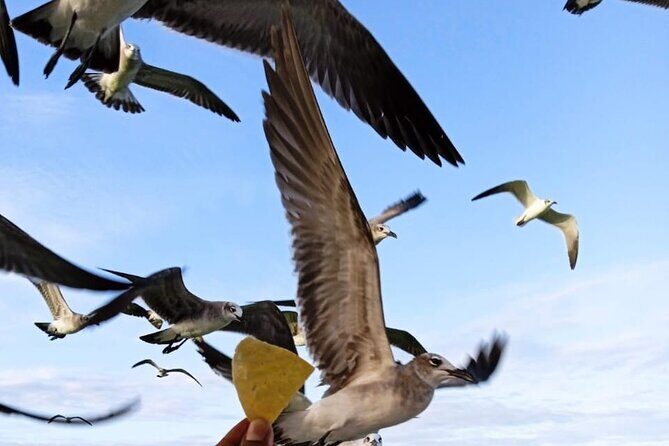 Private boat tour (3 islands tour) - FAQ