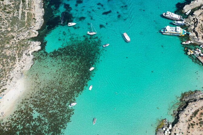 Private Boat Tour at Comino's Blue Lagoon and Crystal Lagoon - The Sum Up