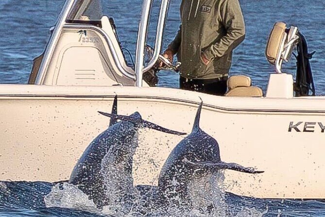 Private Boat Tour Dolphins Sunsets Shell Island and Snorkeling - FAQ