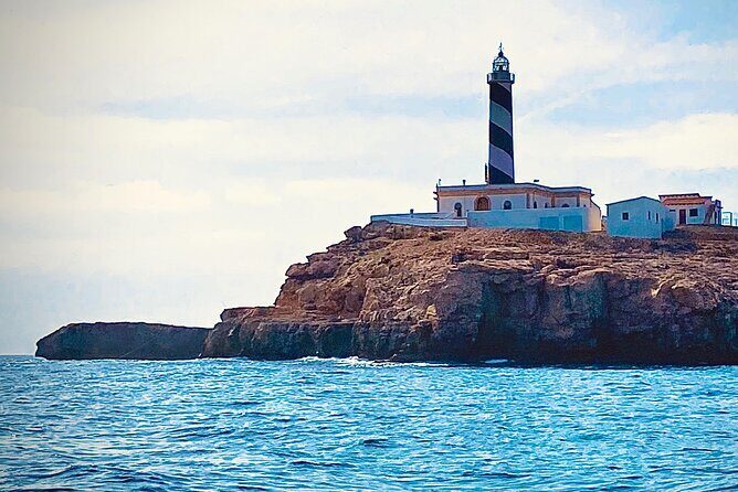 Private Boat Tour from Palma with Snorkeling and Paddle Surfing - Price & Value