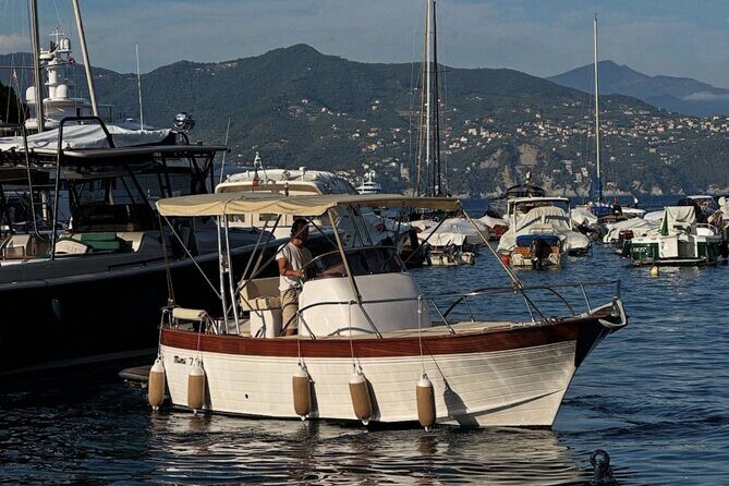 Private Boat Tour in Portofino Natural Reserve or Cinque Terre - Who Should Consider This Tour?