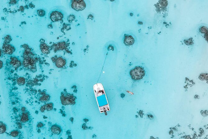 Private Boat Tour of Moorea Lagoon - The Sum Up