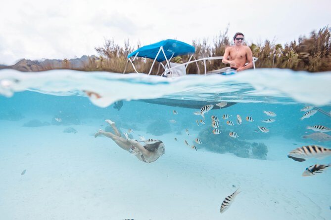 Private Boat Tour of Moorea Lagoon - FAQs