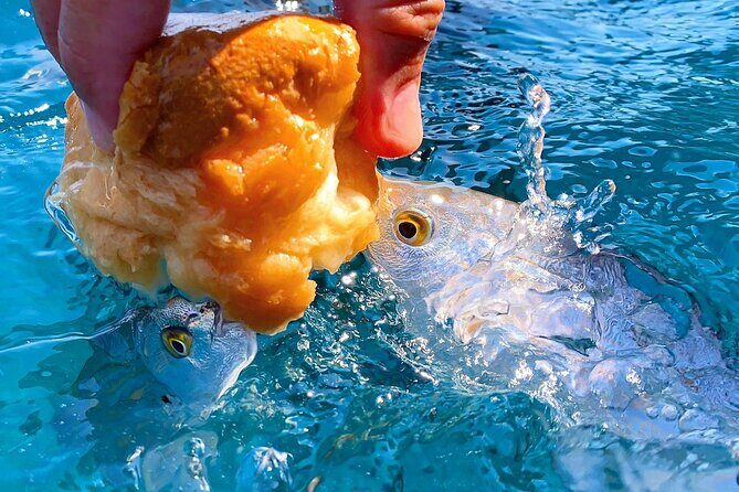 Private Boat Tour Portofino, Golfo Paradiso and Tigullio - Price and Value