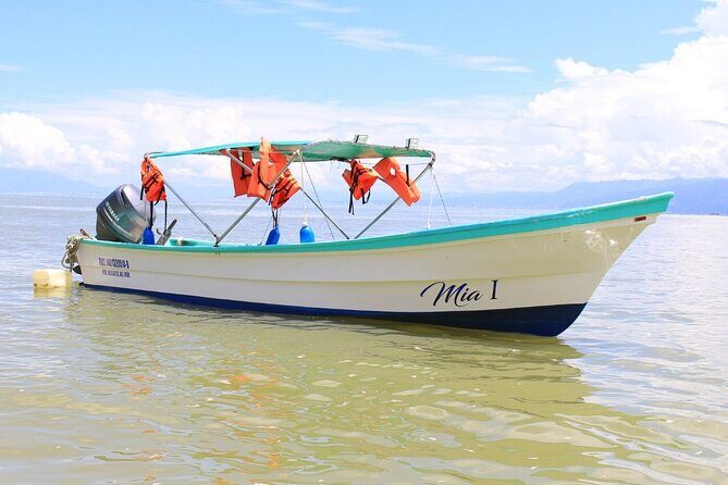Private Boat Tour to Yelapa and Majahuitas Snorkel (up to 7 guests) - Who Should Consider This Tour?