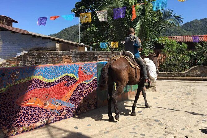 Private Boat Tour to Yelapa - Practical Details and Considerations