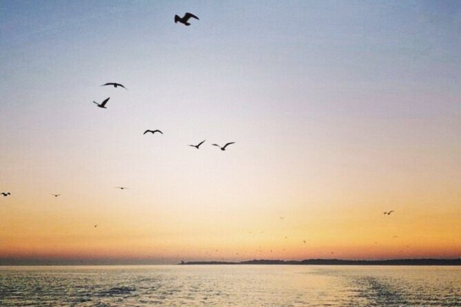 Private Boat Tour with activities in Pula Croatia - How the Price Reflects Value