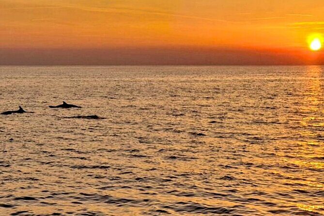 Private Boat Tour with activities in Pula Croatia - Practical Details and Tips