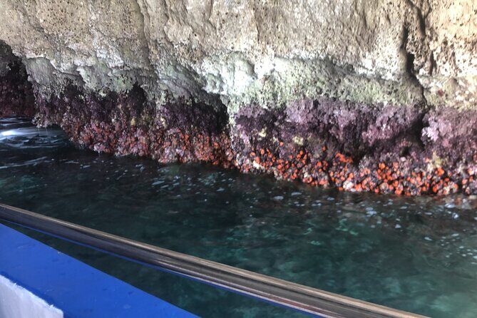 Private boat tour with prosecco and fresh fruit - Final Thoughts