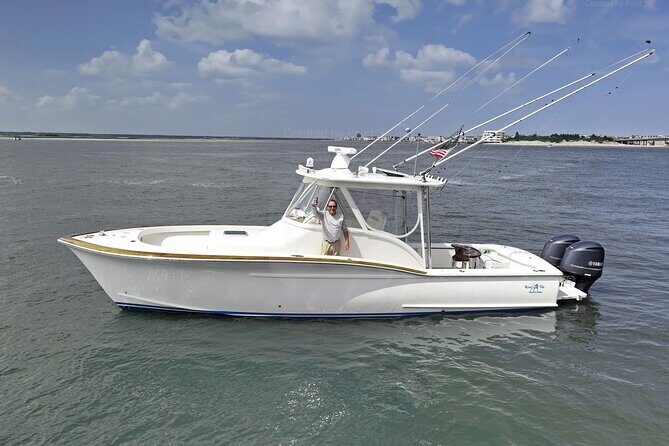 Private Boat Tours and dolphin encounters in Avalon NJ - A Closer Look at the Private Boat Tour in Avalon NJ